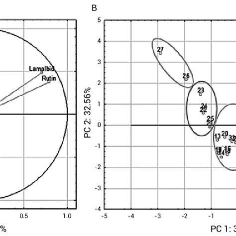 Pca Analysis Results A Scores Plot B Loading Plot For 33