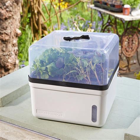 Smart Garden Perfect Propagator British Garden Centres