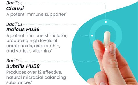 Microbiome Labs Megasporebiotic Spore Based Probiotics Daily