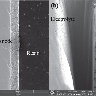 A Schematic Of The FIB SEM B Original Secondary Electron Images Download Scientific