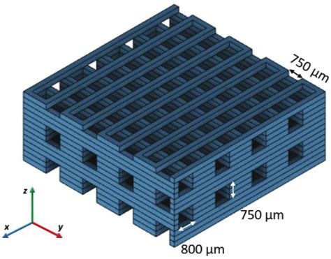 Illustration Of The Main Features Of The 3d Bioprinted Woodpile