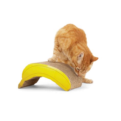 Cat In Banana Ubicaciondepersonas Cdmx Gob Mx