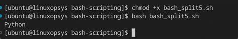 Bash Split String By Delimiter