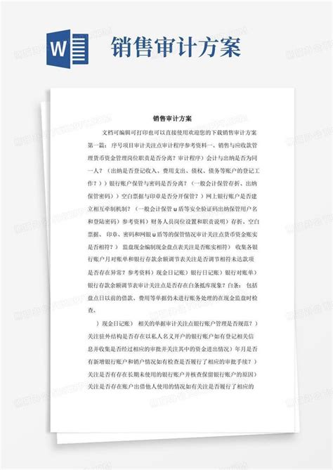 销售审计方案word模板下载熊猫办公
