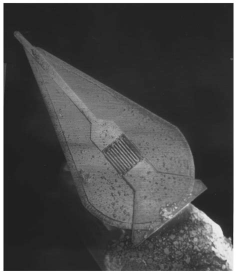Scanning Electron Microscope Picture Of The Epitaxial Lift Off Probe