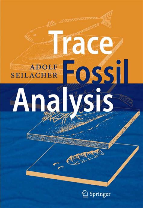 Trace Fossil