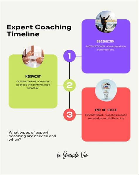 What Types Of Expert Coaching Are Needed And When Motivation