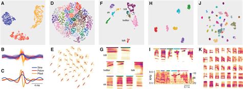 Fast And Accurate Annotation Of Acoustic Signals With Deep Neural Networks ELife