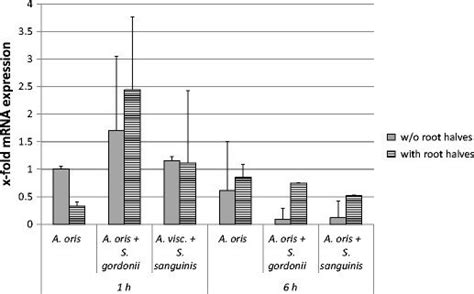 Rna Expression Of Actinomyces Oris Mg1 As A Single Strain Or