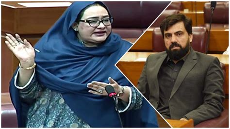 Shagufta Jumani Of Peoples Party Throws Headphones At Ptis Shahid Khattak