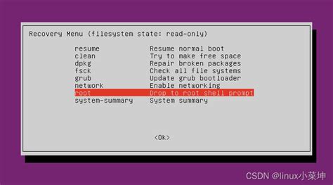 ubuntu忘记root用户的密码（密码重置） ubuntu找回root密码 csdn博客