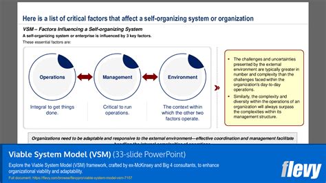 Viable System Model Vsm Ppt Slide Deck