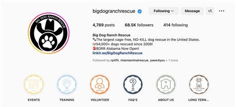 Bdrr Instagrams Practice Guide For The Purpose Of This Thought Paper By Laura Hoyos Medium