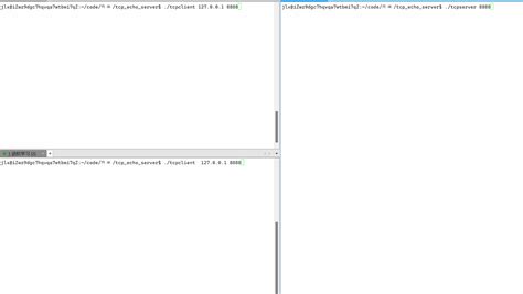 【计网】从零开始使用tcp进行socket编程 服务端业务模拟xshelltcp服务端模拟 Csdn博客