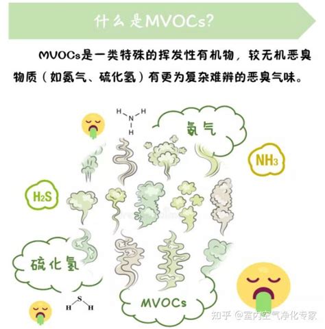 Mvocs是什么？它和vocs有什么关系？ 知乎