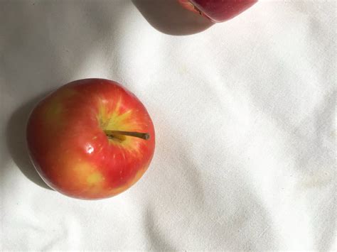 가을 황금빛 사과의 맛을 그대로 담은 애플밀크티 텀블벅 크리에이터를 위한 크라우드펀딩