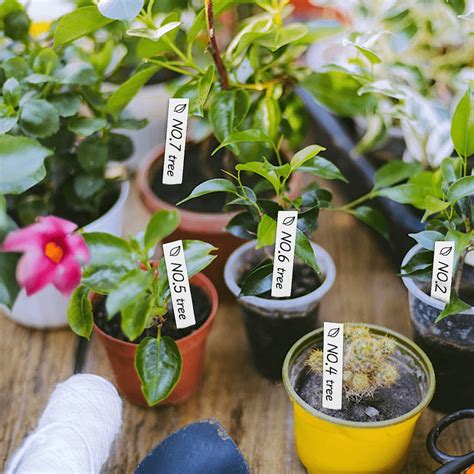 100pcs Waterproof Plastic Plant Labels 4 Inch Durable Garden Tags