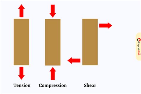 Compression Force Vs Tension Force At Zane Humphrey Blog