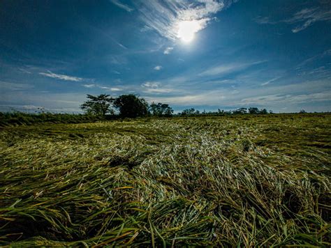 Nakadapa At Lubog Na Sa Tubig Ang Greenpeace Philippines