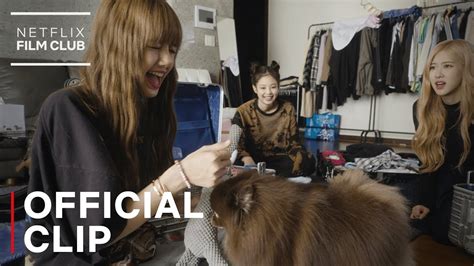 ბლექფინქი გაანათე ცა ქართულად სუბტიტრებით Youtube