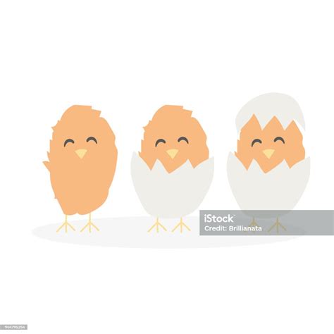 만화 귀여운 부활절 아기 Chikens 흰색 배경에 고립 된 계란에서 부 화 0명에 대한 스톡 벡터 아트 및 기타 이미지 0