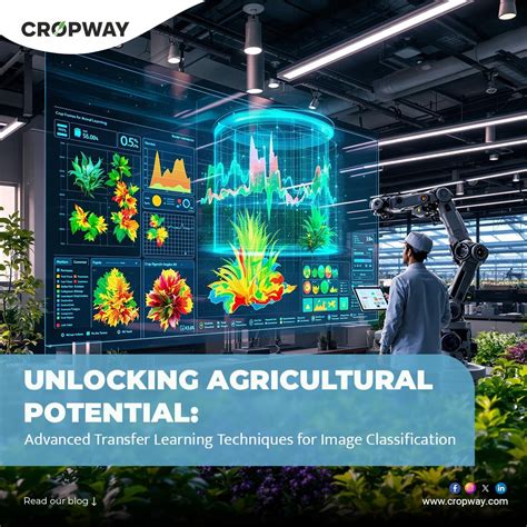 Agtech Ai Machinelearning Crophealth Foodsecurity Sustainability