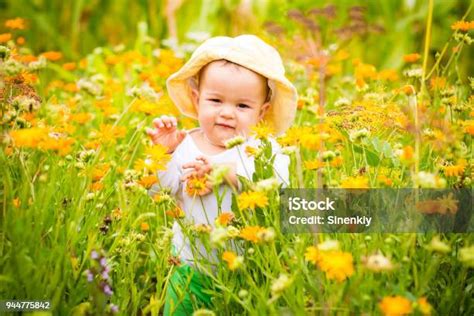 아름 다운 아이 소녀 호박 패치 전통 가족 축제에 농업과 재미 10월에 대한 스톡 사진 및 기타 이미지 10월 가을 검은