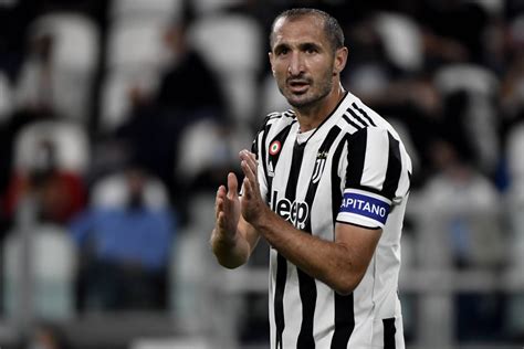 Giorgio Chiellini Fiche Joueur Juventus Juventus