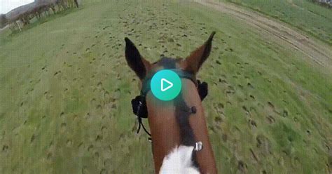 Unexpected  On Imgur