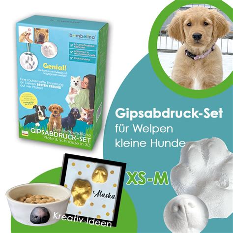 Bambelina Gipsabdruck Set Hund Oder Katze Wiederverwendbare Form
