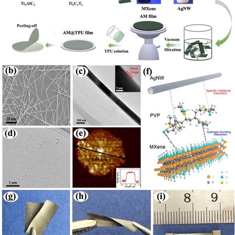 Preparation Of The Am Based Strain Sensor A Schematic Illustration For Download Scientific