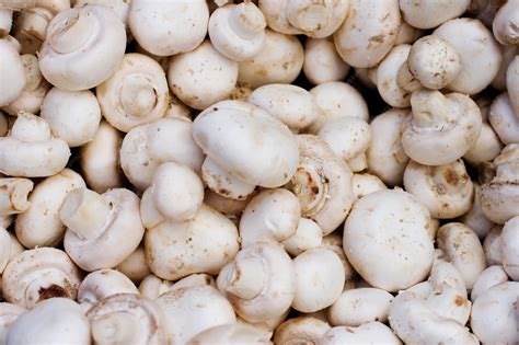 Premium Photo Closeup Of Champignon Agaricus Bisporus Background