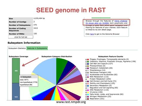 Ppt Improving Rast Annotations Within Rast Powerpoint Presentation
