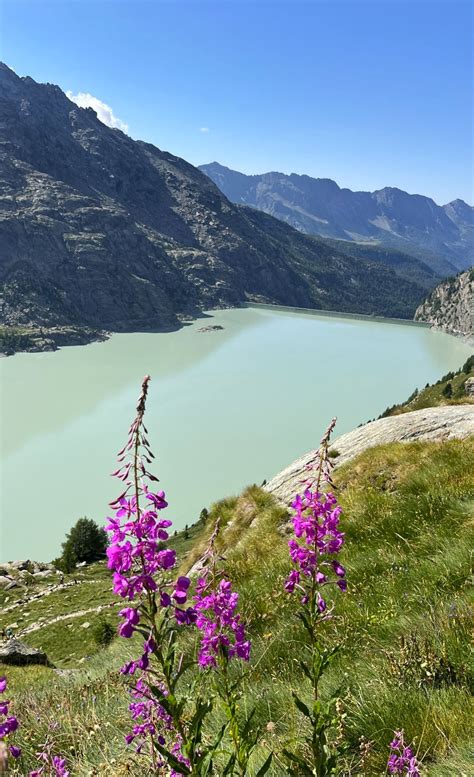 Ghiacciaio Fellaria Spettacolare Trekking Della Valmalenco