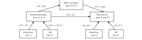 Tested Model Of The Mediated Effect Of The Proportion Of Other Sex Download Scientific Diagram