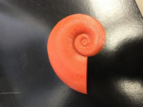 Logarithmic Spiral The Nature Of Mathematics In 3d
