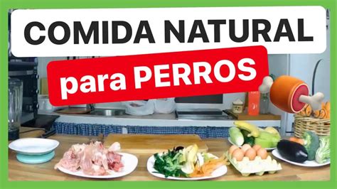 Receta De Carne Casera Para Perros Alimentación Saludable Para Tu