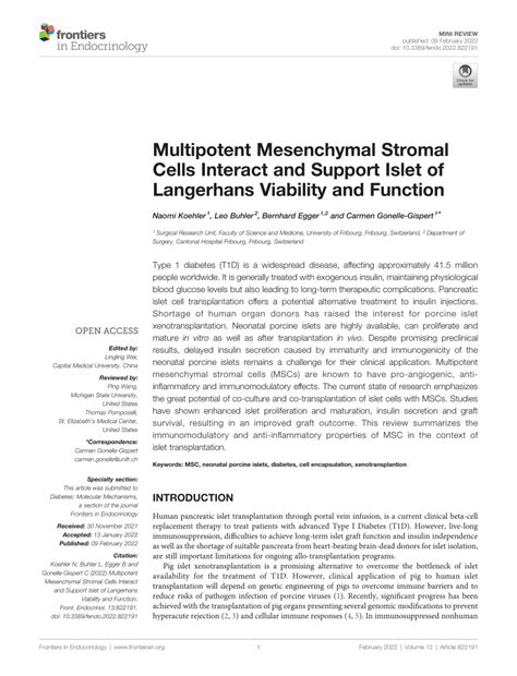 Pdf Multipotent Mesenchymal Stromal Cells Interact And Support Islet