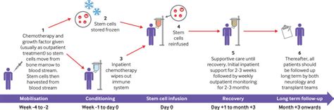The Science Of Stem Cells A Comprehensive Guide