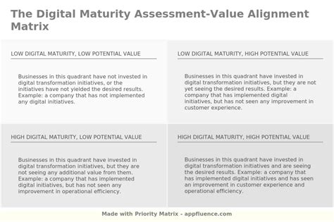 Digital Maturity Assessment Value Alignment Matrix [free Download]