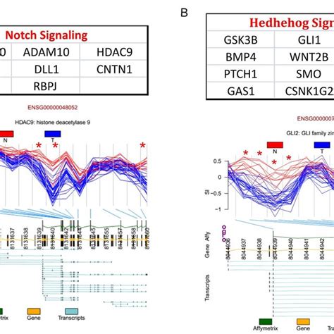 Splicing Index Si Analyses Using Affymetrix Hugene 10 St V1