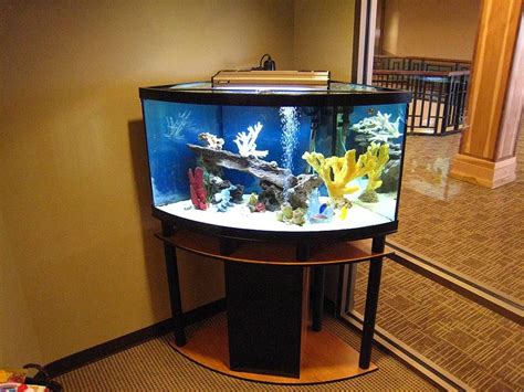 50 Gallon Fish Tank Bow Front Telnyet Aquarium Fish