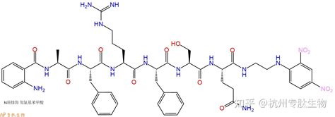 激肽释放酶KLK底物 Kallikrein 6 substrate 知乎