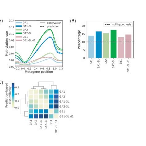 Performance Of Deep Convolutional Neural Networks Cnn For Predicting