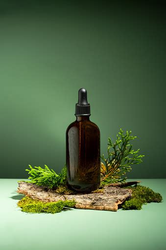 녹색 배경에 에센셜 오일 이끼 및 나무 껍질의 개념적 구성 피부와 모발 관리를 위한 오일 세럼 점적기가있는 바디 오일의 유리 병