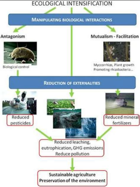 Agriculture Agricultural Intensification And Ecosystem Properties