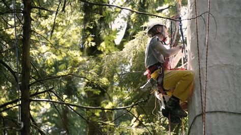 Sam Talks John Grade In Conversation With Alison Milliman Sam Stories