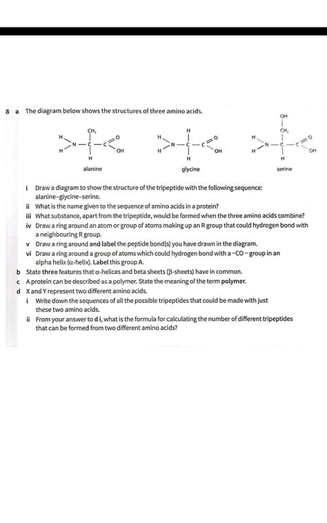 8 A The Diagram Below Shows The Structures Of Three Amino Acids Cccc