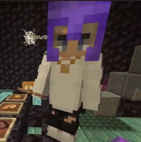 Pin By Ava Albee On Punz Minecraft Youtubers Smp Youtubers