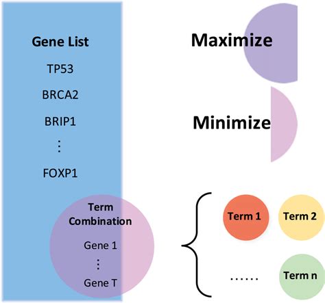 The Sketch Map Of The Multi Objective Combinatorial Optimization
